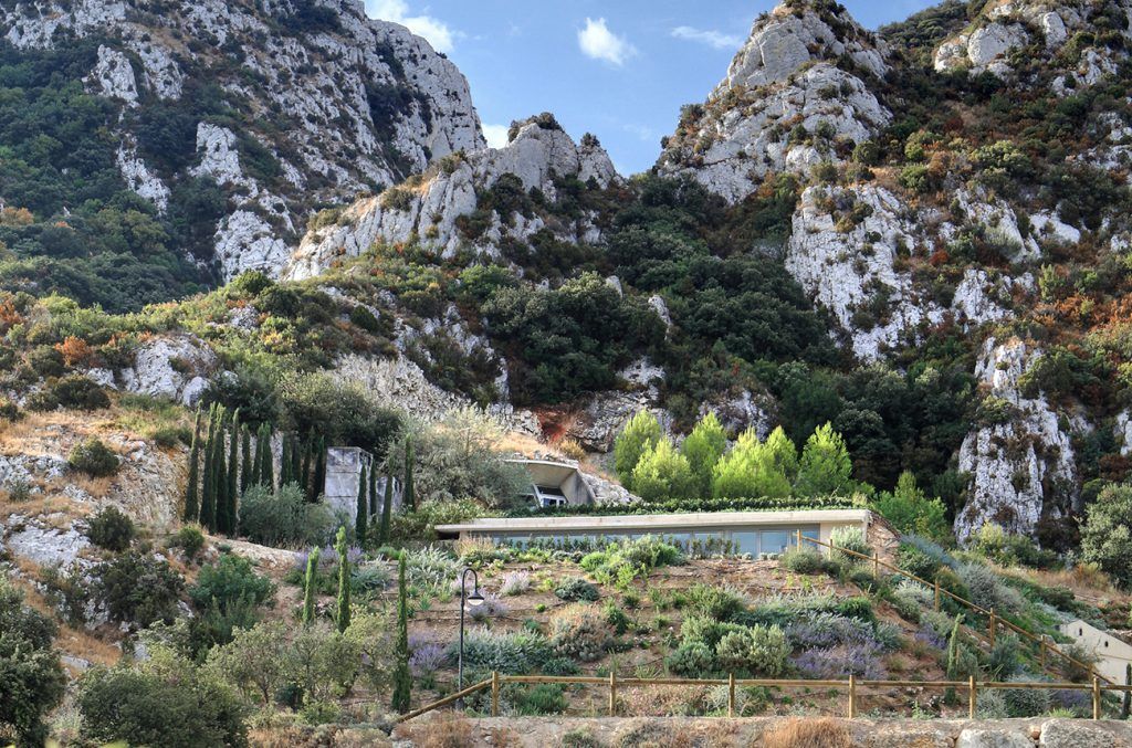 9 Fun Things To Do In St Rémy de Provence - Perfectly Provence