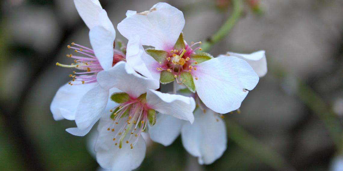 Fine Art Photography Exhibition Ashley Tinker