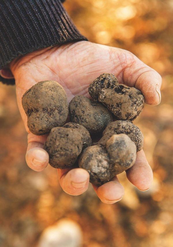 Culinary Adventure in Provence Touring Cuisine of the Med - Perfectly ...