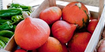 Squash Puree With Cumin a Cool Weather Side Dish - Perfectly Provence