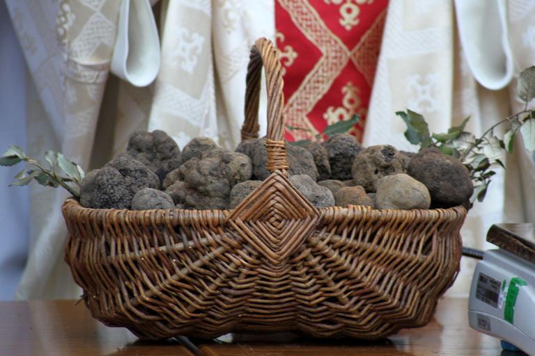 Elusive Truffles Hunting for Black Gold in Provence - Perfectly Provence