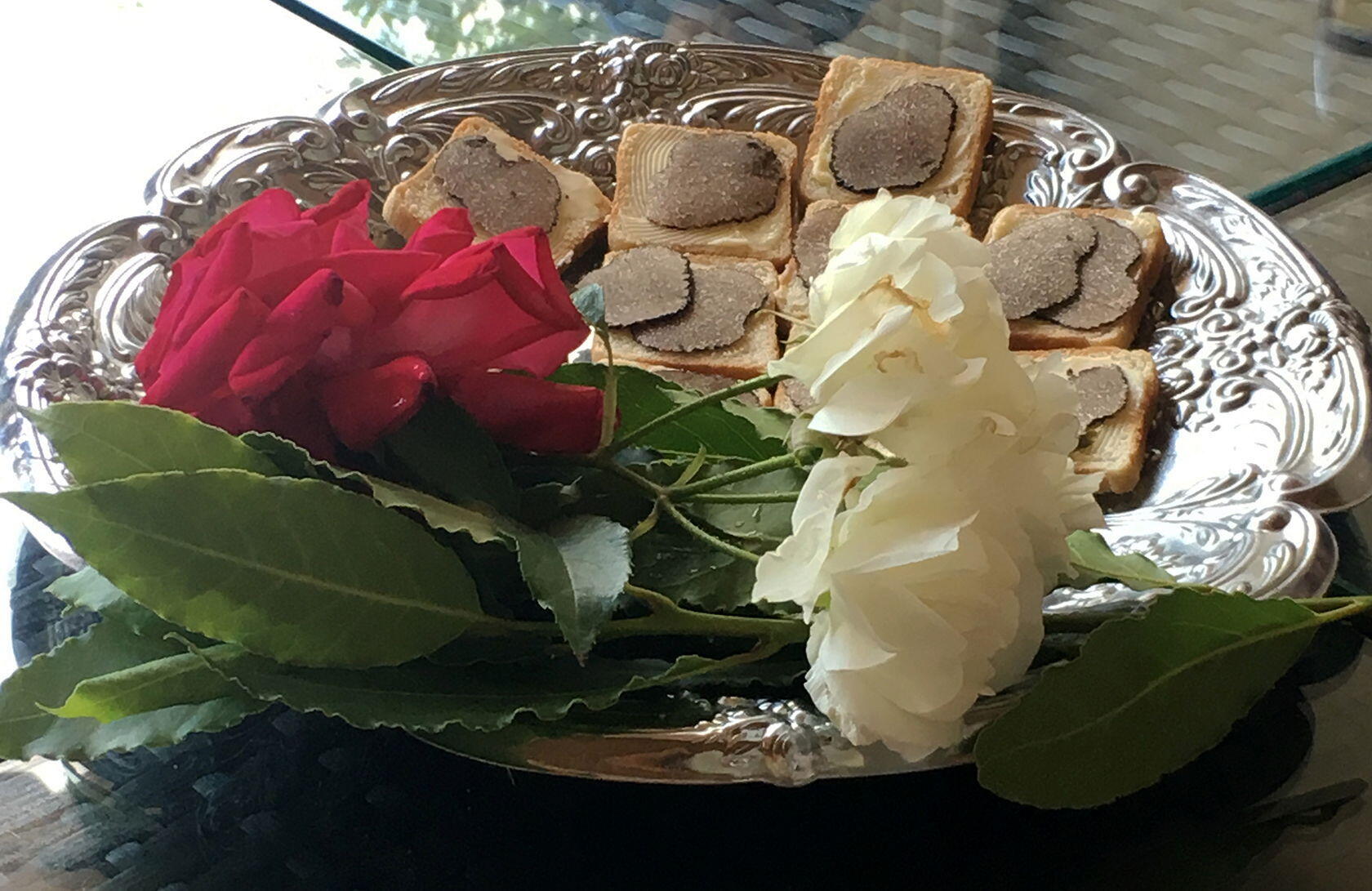 Elusive Truffles Hunting for Black Gold in Provence - Perfectly Provence