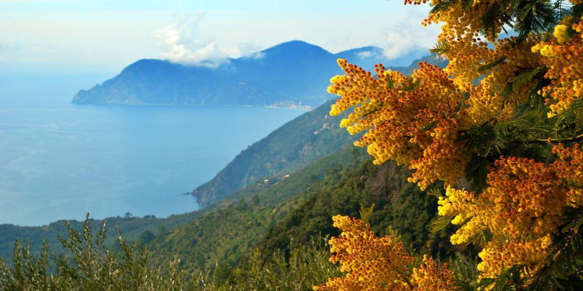 Winter Holidays on the French Riviera - Perfectly Provence