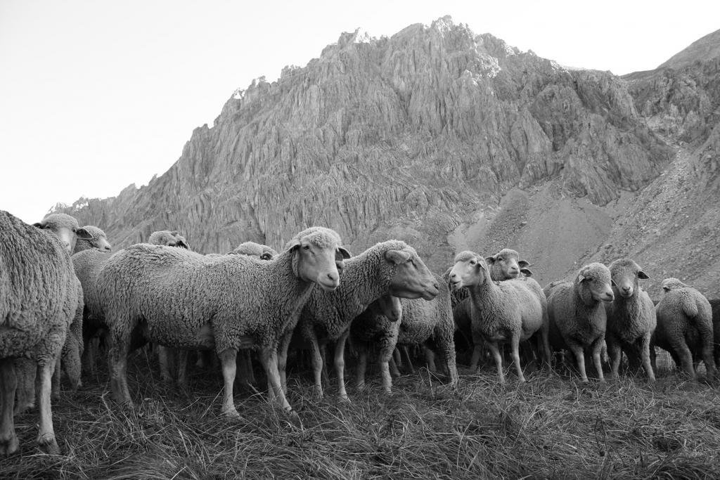 Quality Merino Wool from Provence Tricote Moi un Mouton - Perfectly ...