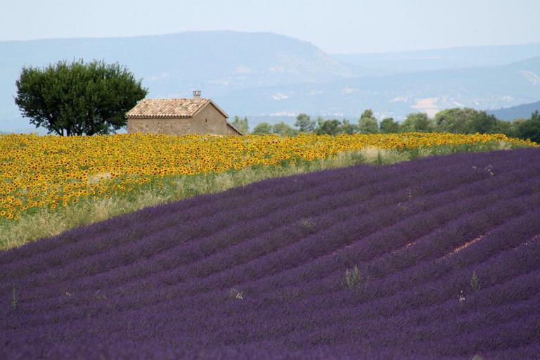 Here are 10 Great Reasons to Visit Provence - Perfectly Provence