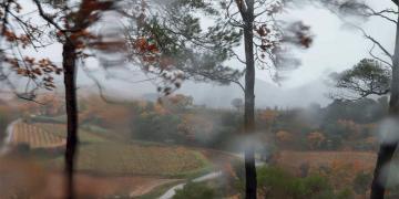 Provence and the Mistral Wind a Powerful Force - Perfectly Provence