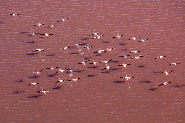 Gorgeous Photos of the Rhône by Camille Moirenc - Perfectly Provence