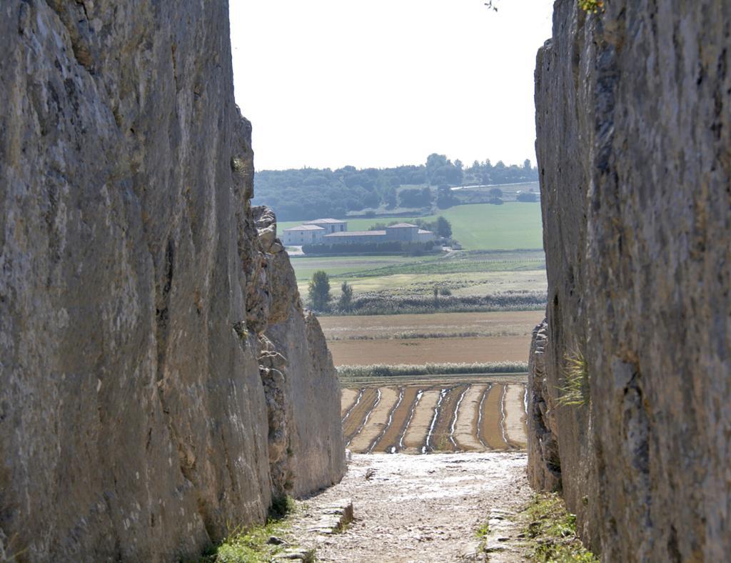 Guide to the Villages of the Alpilles - Perfectly Provence