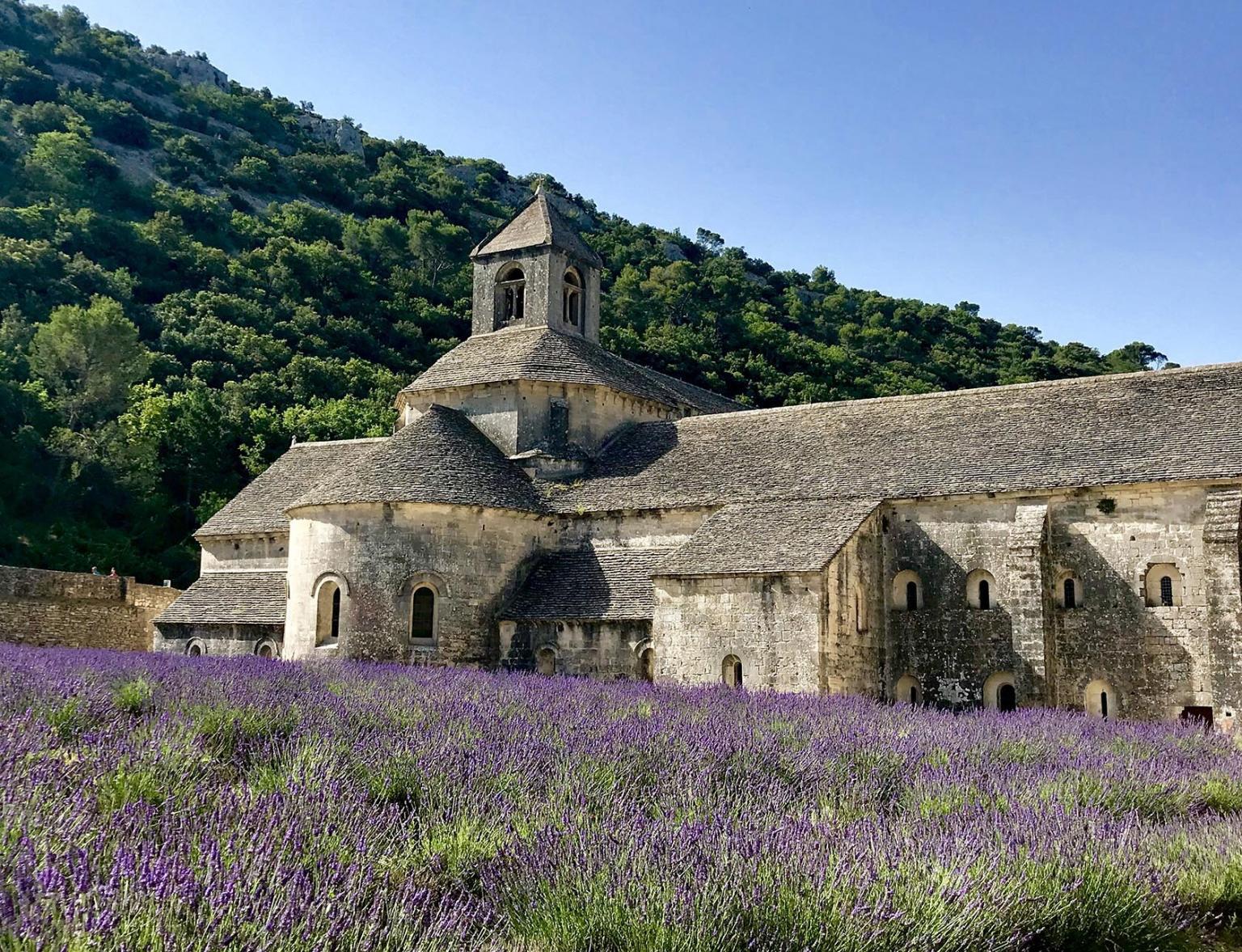 Lavender and Photography in Provence Capture the Magic in July ...