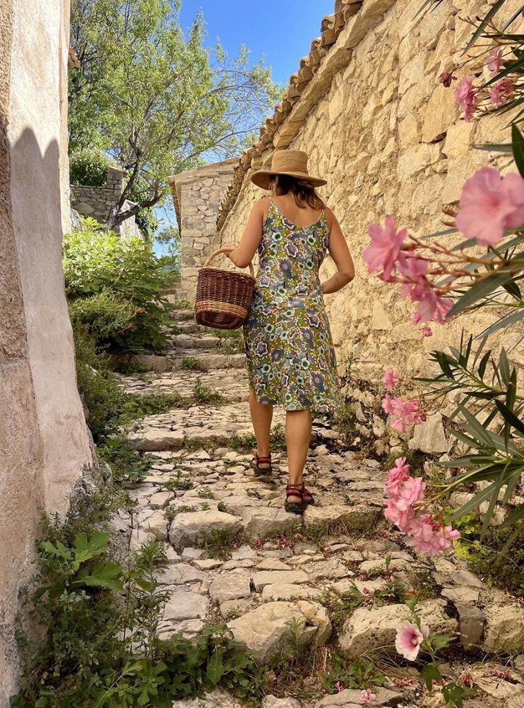 Lavender and Photography in Provence Capture the Magic in July ...