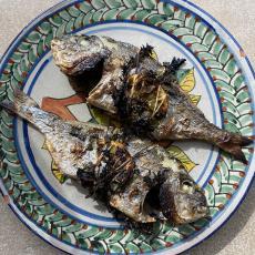 Grilled or Roasted Daurade Royale in Fresh Herbs for Dinner - Perfectly ...