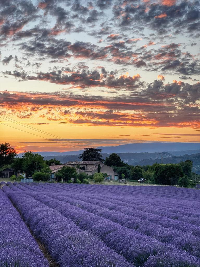 Learning Photography in Provence Join Raina Stinson - Perfectly Provence