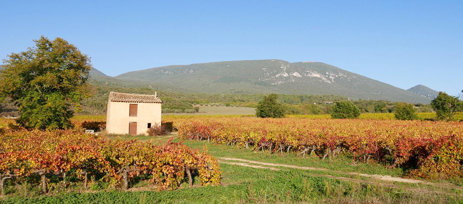 Join a Small Group Tour Provence in October - Perfectly Provence