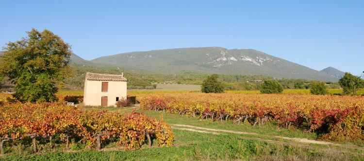Join a Small Group Tour Provence in October - Perfectly Provence
