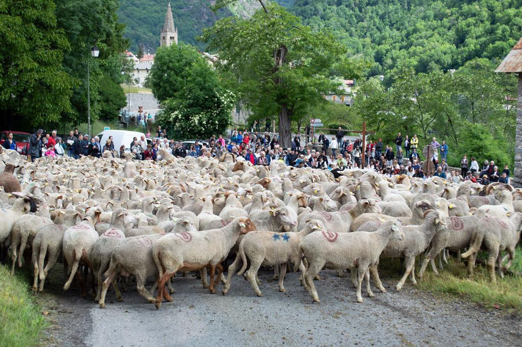 My Fête de la Transhumance Experience in Provence's Tinée Valley ...