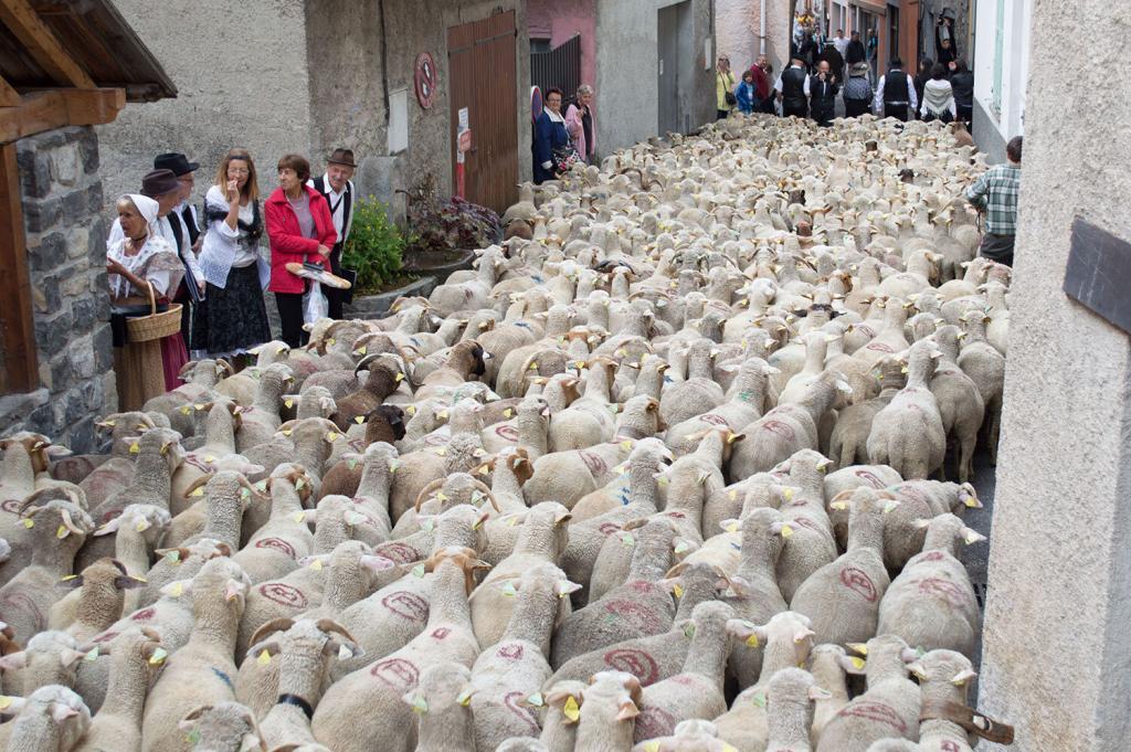 My Fête de la Transhumance Experience in Provence's Tinée Valley ...