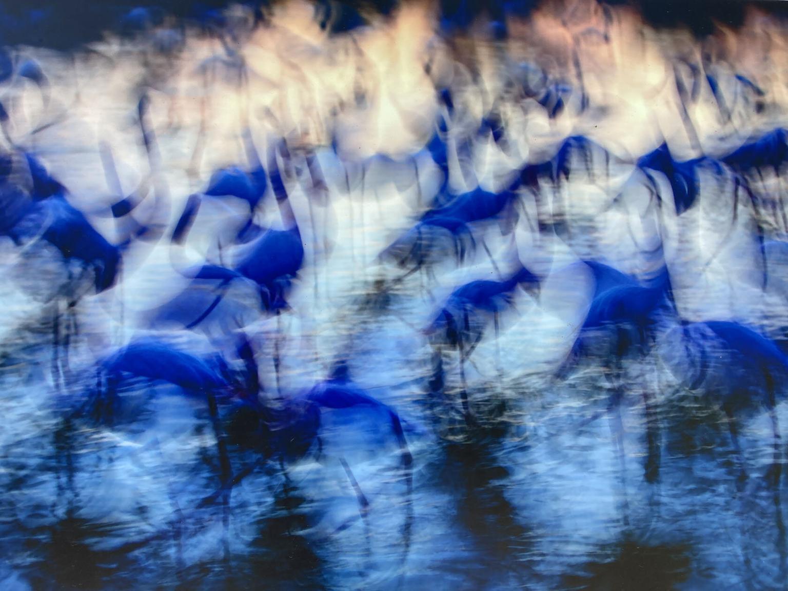A Great Place to See Flocks of Flamingos in Provence - Perfectly Provence