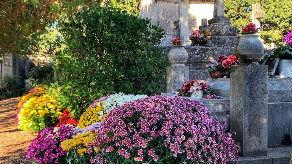 November 1 is La Toussaint in France Discover the Traditions ...