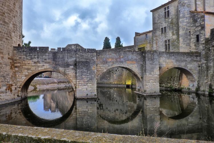 The Best of the Camargue from Towns to Wildlife For Visitors ...