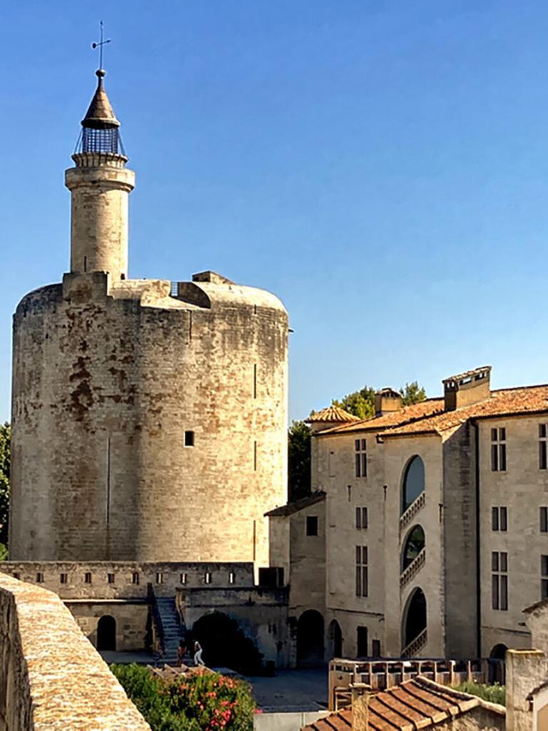 The Best of the Camargue from Towns to Wildlife For Visitors ...