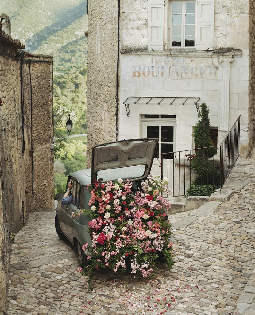 Jamie Beck and The Flowers of Provence Her Beautiful Book - Perfectly ...