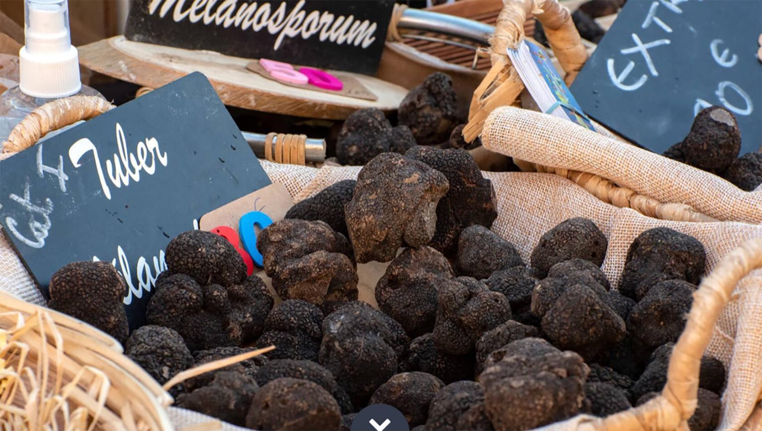 Richerenches, The Truffle Capital of the World or at Least Provence ...
