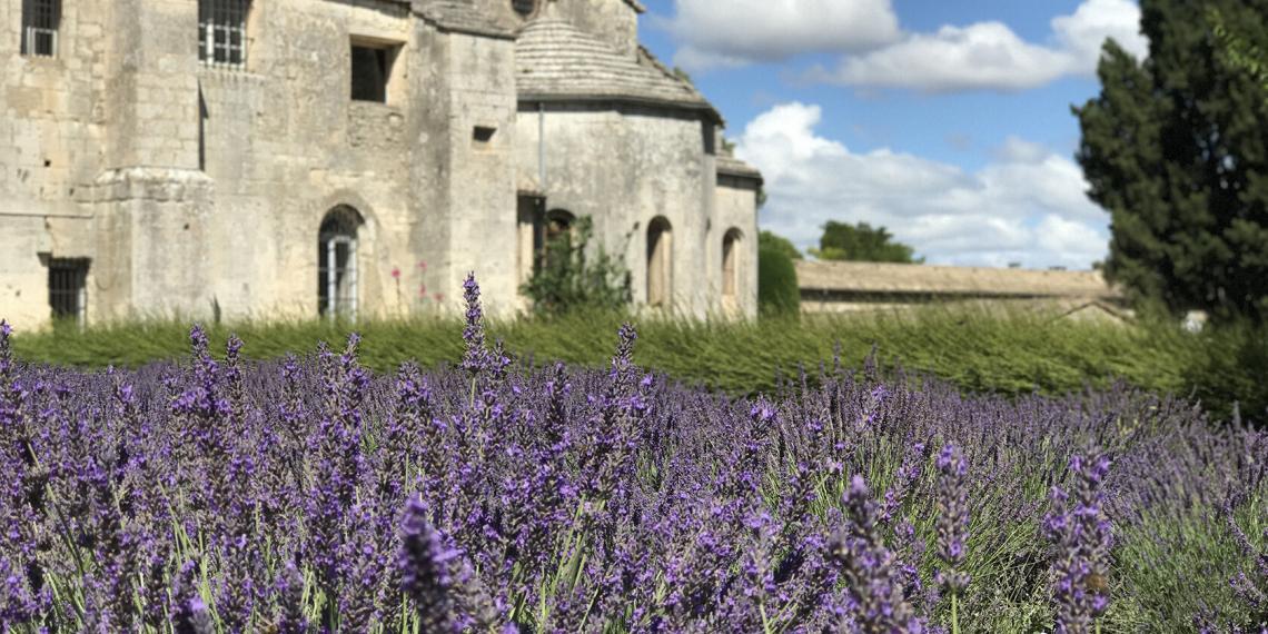 Enchanting Provence: Lavender Fields and Heritage Sites a June Tour ...