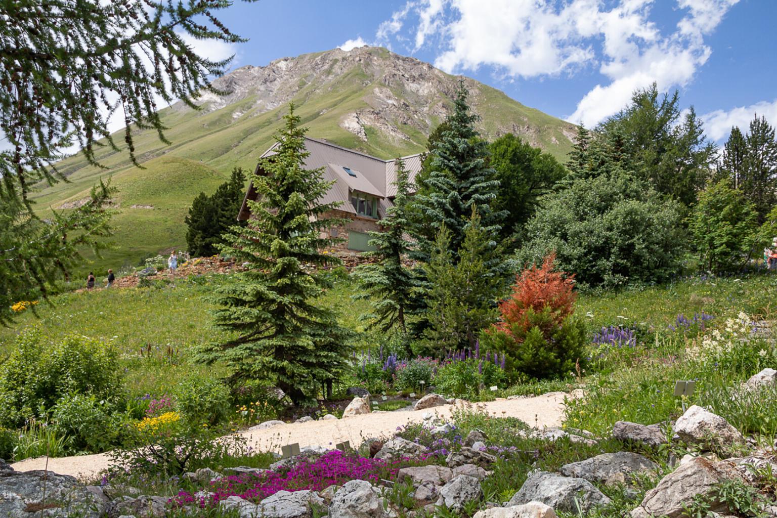 Our Visitors Guide to 22 Beautiful Gardens in Provence Côte d'Azur ...