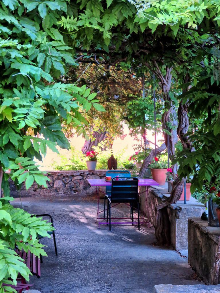 The Art of Food: Cooking Classes with Suzanne Kay in Provence ...