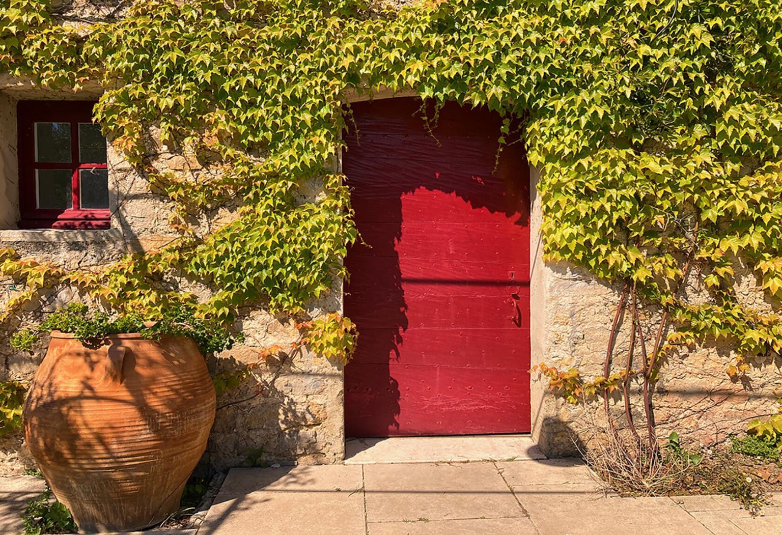 The Art of Food: Cooking Classes with Suzanne Kay in Provence ...