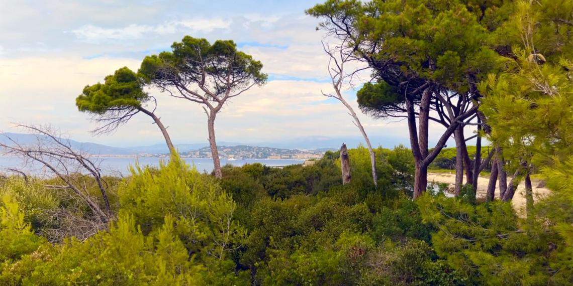 Perfectly Provence - Perfectly Provence