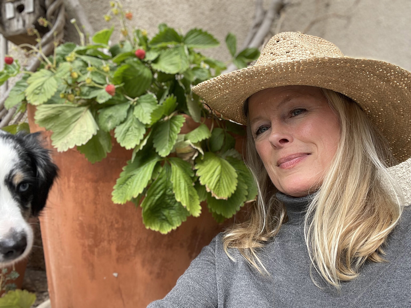 Memoir by Kristin Espinasse: A Year in French Life - Perfectly Provence