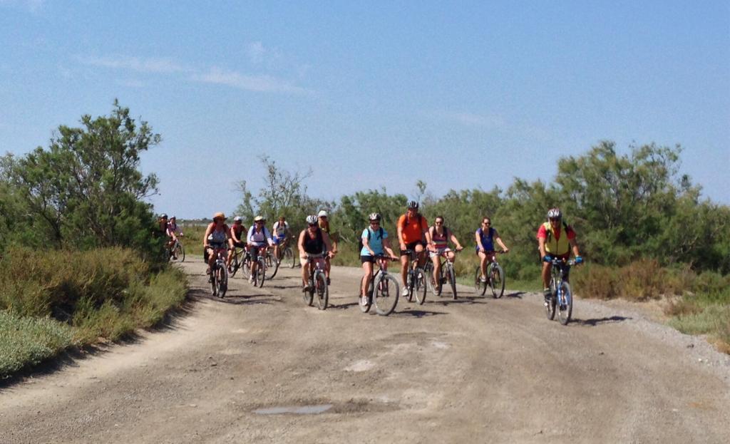 The Camargue is Provence's Unmissable Wild Side - Perfectly Provence
