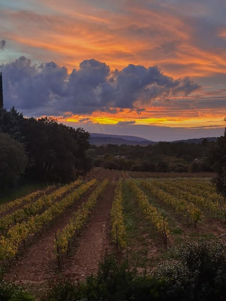 Things I Wish I Knew Before Spending a Month in Provence - Perfectly ...